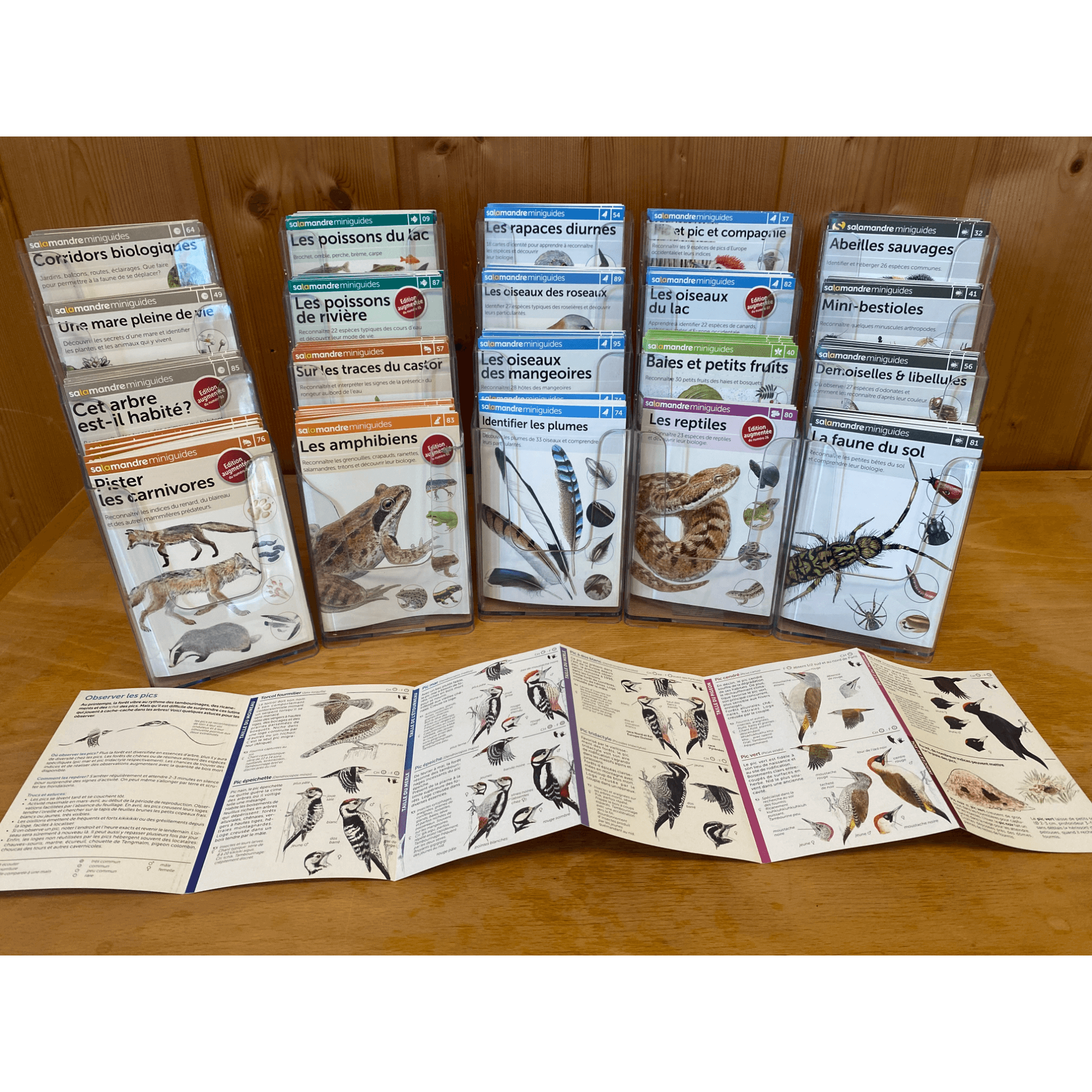 Guide et mini-guide édition La Salamandre | La Petite Camargue Alsacienne