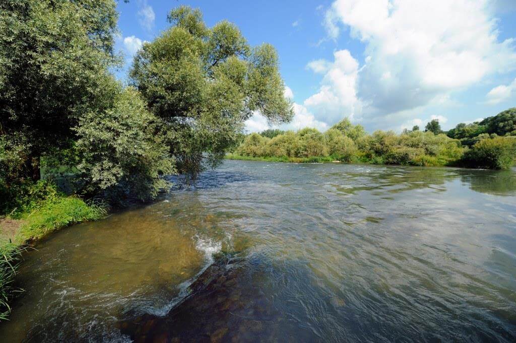 Qu'est-ce qu'une Réserve Naturelle Nationale (RNN) ? | La Petite ...